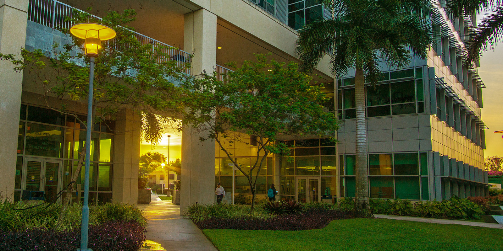 Mission & Vision | FIU Nicole Wertheim College of Nursing & Health Sciences